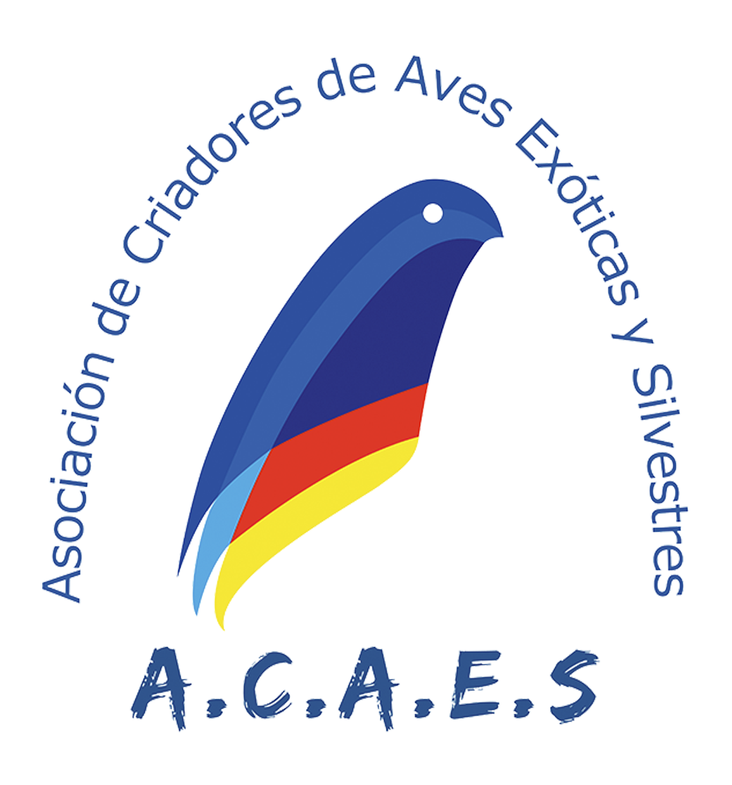 Presentación - Acaes Club